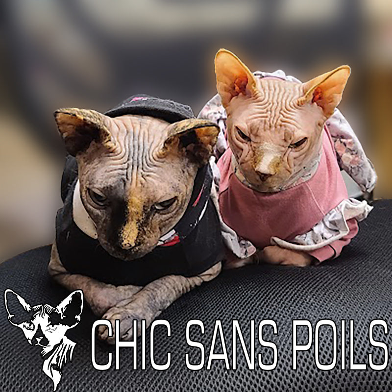 Chic sans poils par Alexandra Tardif – Chic Placard