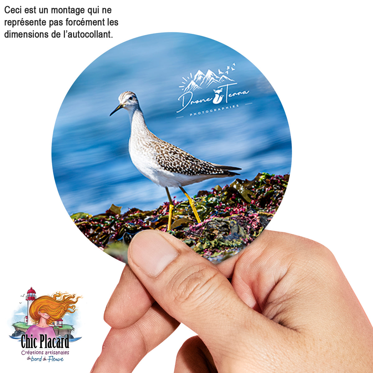 Autocollant - Drone Terra #134 – Chic Placard